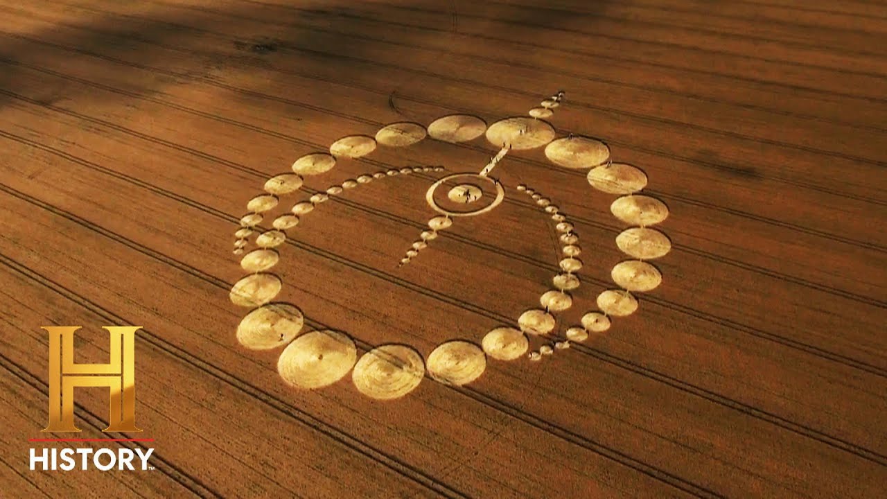 The Crop Circle Phenomenon – ALIEN BLUE BOOK